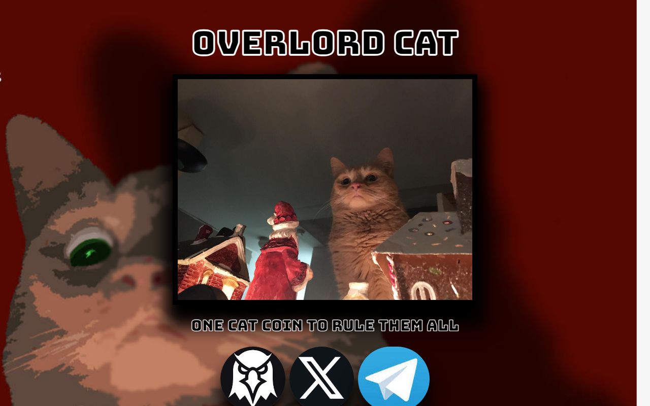 OVERLORD CAT